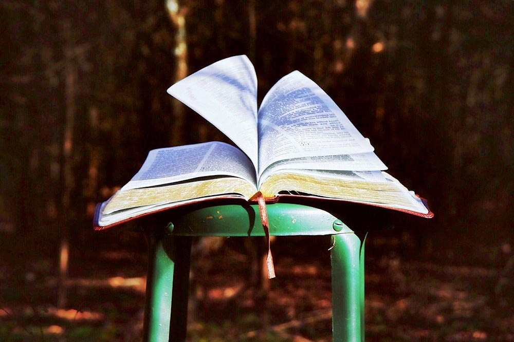 Consult the Manual - ITEC | Develop | Train | Equip